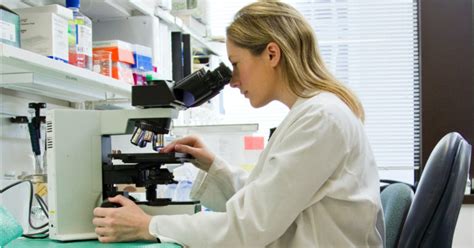 FX Website Textile Testing Lab