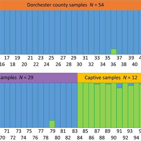 analysis of bayesian clustering identified two cluster groups blue and