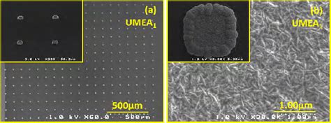 Figure 2 From High Temporal Resolution Electrochemical Biosensor Using Nitrogen Incorporated