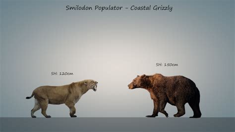 사람들이 잘 모르는 그리즐리 베어의 실제 크기 포텐 터짐 최신순 에펨코리아