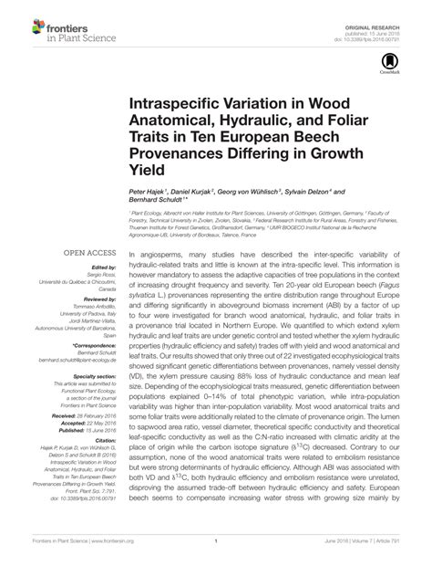 Pdf Intraspecific Variation In Wood Anatomical Hydraulic And Foliar