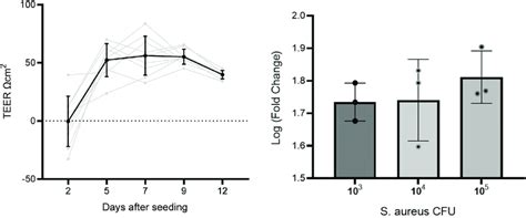 Left Line Graph With Teer Measurements Across Several Days On The Same
