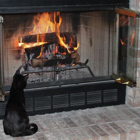 1212 Instance Segmentation Dataset By Gachon University