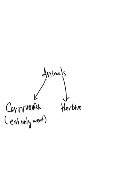 Solved How Will You Classify The Following Animals According To Their