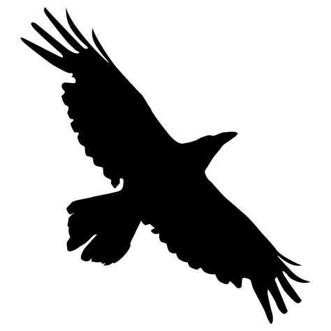 Flying Raven Silhouette At Getdrawings Free Download