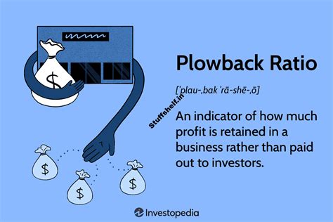 Plowback Ratio Definition Calculation Formula Example Stuffshelf