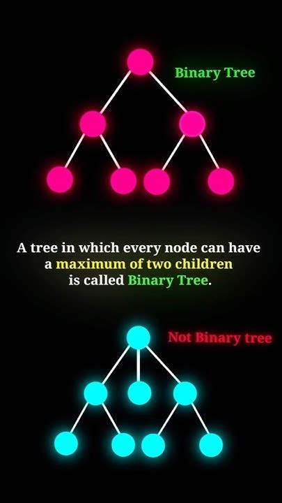 Binary Tree And Non Binary Tree Visualizationcoding Programming Dsa