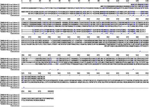 The Proteins Sequences Were Aligned Using MultAlin Server With Defaults