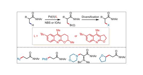 Ligand Enabled Pd Ii Catalyzed Bromination And Iodination Of C Sp3 H Bonds Journal Of The