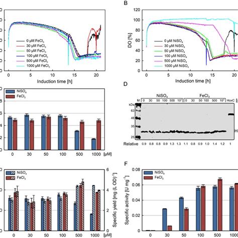 High Cell Density Fed Batch Bioreactor Cultivation For Rh Production Download Scientific