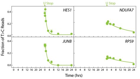 Slamseq Catabolic Kinetic Rna Seq Lexogen
