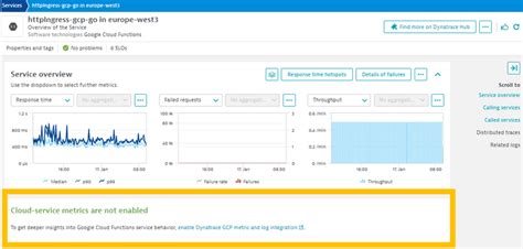 Serverless Monitoring Dynatrace Docs