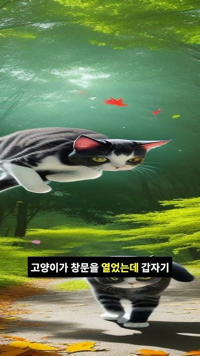 바람의 친구가 된 고양이 Youtube