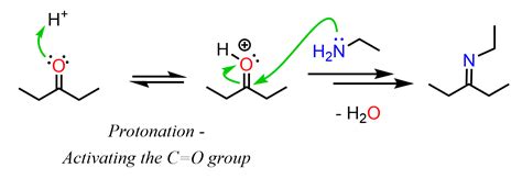 Formation Of Imines And Enamines Chemistry Steps