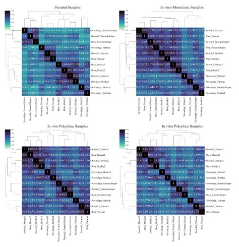Clustered Similarity Matrices For Each Sample Type Cosine Similarity
