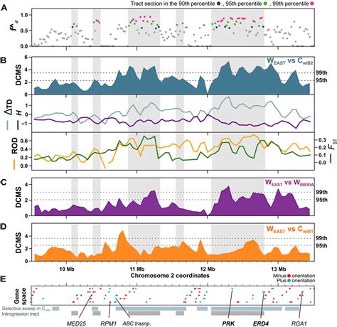 Signals Of Introgression And Positive Selection In One Of The Strongest Download Scientific