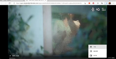 基于python实现的vip电影爬虫python爬取爱奇艺vip视频 Csdn博客