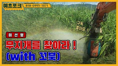 대구 경북 굴삭기 예초 작업 중장비 예초 작업 Youtube