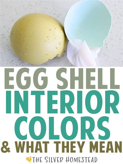 Egg Shell Interior Colors Silver Homestead Egg Shell Interior Colors Silver Homestead
