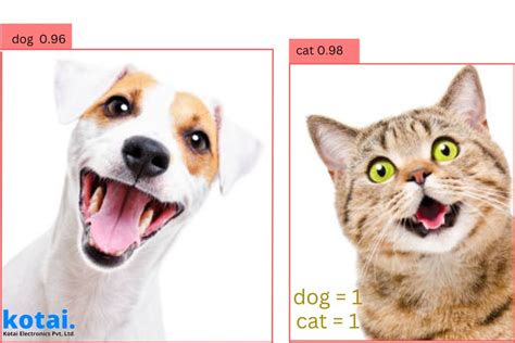 Object Counting Using Yolo Best Practices