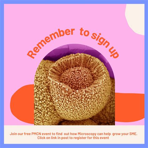 Microscopy Event Universityofplymouth Composites Structural Evolution Ltd