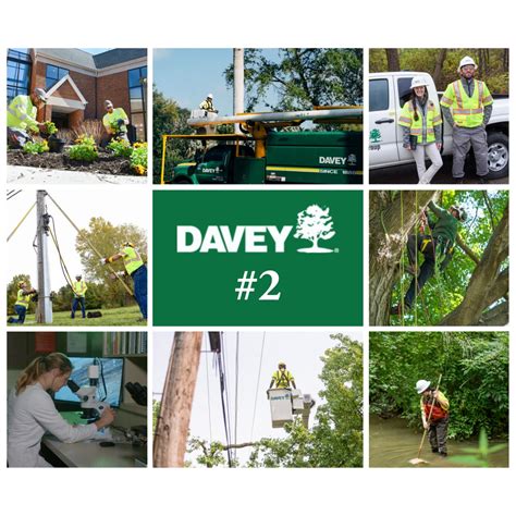 The Davey Tree Expert Company Op Linkedin Daveys Moving Up The Ranks Davey Ranked Second On