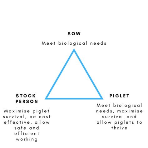 What Is Free Farrowing Ahdb