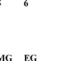 Randomization Scheme Download Scientific Diagram