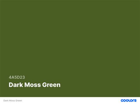 Dark Moss Green In 2025 Green Colour Palette Moss Green Green Colors