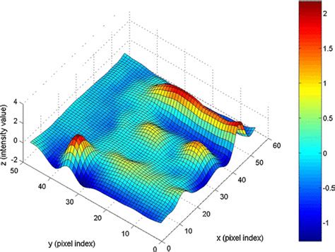 3d Surf Plot Computed From This Thermal Image Download Scientific Diagram