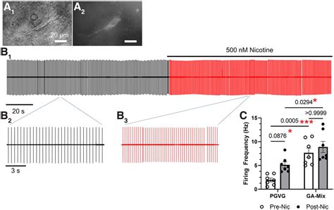 Chemical Flavorants In Vaping Products Alter Neurobiology In A Sex Dependent Manner To Promote