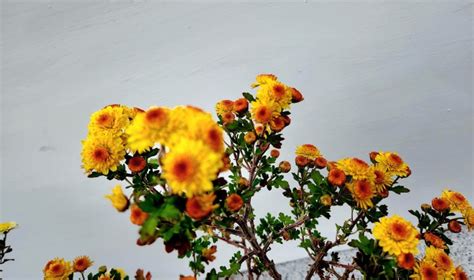 아침을 여는 기도 1시간 기도문 자기전기도문 자기전에기도하기 자면서듣는기도문 하루 시작 기도 아침 묵상 따라하는 기도 Asmr 기도