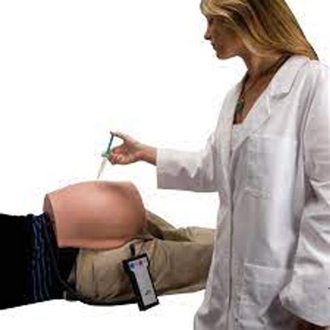 3b Scientific Buttock Injection Simulator Medex Supply