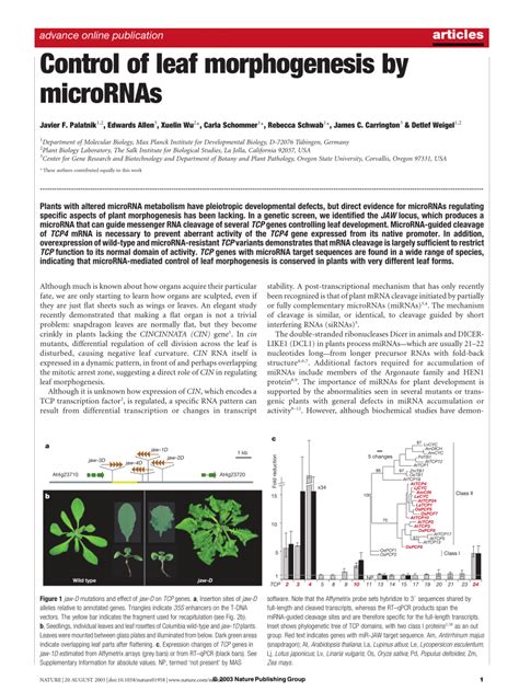 Pdf Control Of Leaf Morphogenesis By Mirnas