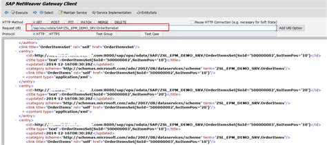 Header And Item Data In SAP OData Service