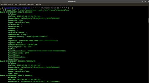 Sysmontask Wsysmon And Sysmon Alternative Task Managers For Linux