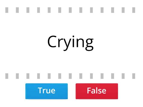 Verbos Del Presente Continuo True Or False