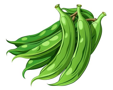 Green Beans Clip Art Realistic Vector Illustration Of Fresh Green Beans