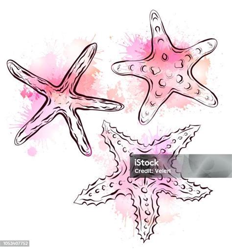 핑크 수채화 밝아진와 불가사리의 흑백 그림 컨투어 개체는 별도 배경에서 선형 삽화 개체 그룹에 대한 스톡 벡터 아트 및 기타 이미지 개체 그룹 검은색 그리기 Istock