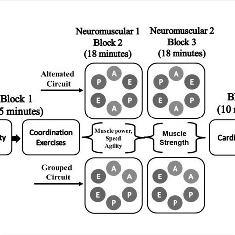 Methodological Organization Of Alternated Circuit Cta And Grouped