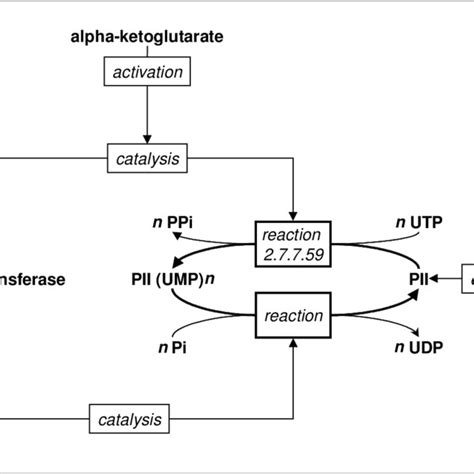 Schematic Representation Of The Action And Control Of A Multifunctional