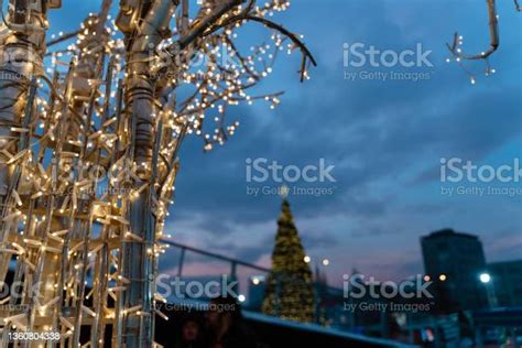 노란색 불빛으로 장식 된 가짜 나무 밤에는 야외에서 조명이 켜진 크리스마스 트리가 있습니다 노란색과 파란색 조명 장식 0명에 대한 스톡 사진 및 기타 이미지 Istock