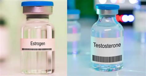 A Comprehensive Guide On The Functions Of Estrogen And Testosterone