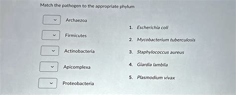Match The Pathogen To The Appropriate Phylum Archaezoa 1 Escherichia Coli Firmicutes 2