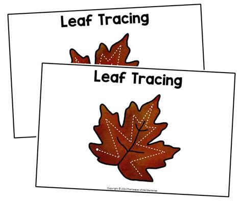 Free Printable Leaf Tracing