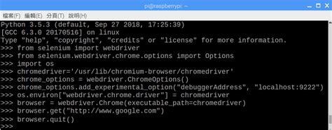小狐狸事務所 樹莓派安裝 Selenium 自動化套件