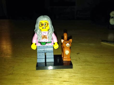 Why Did I Buy That Toy Lego Movie Sets Hot Sex Picture