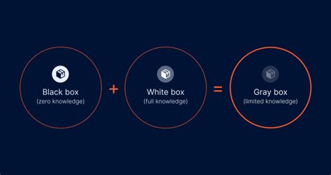 Gray Box Testing What Is Techniques Example Effectivesoft