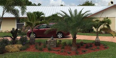 How To Mulch Around Trees The Right Way In Your Coral Gables FL Home