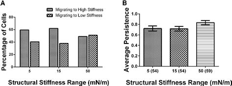 Figure 1 From Role Of Suspended Fiber Structural Stiffness And Curvature On Single Cell
